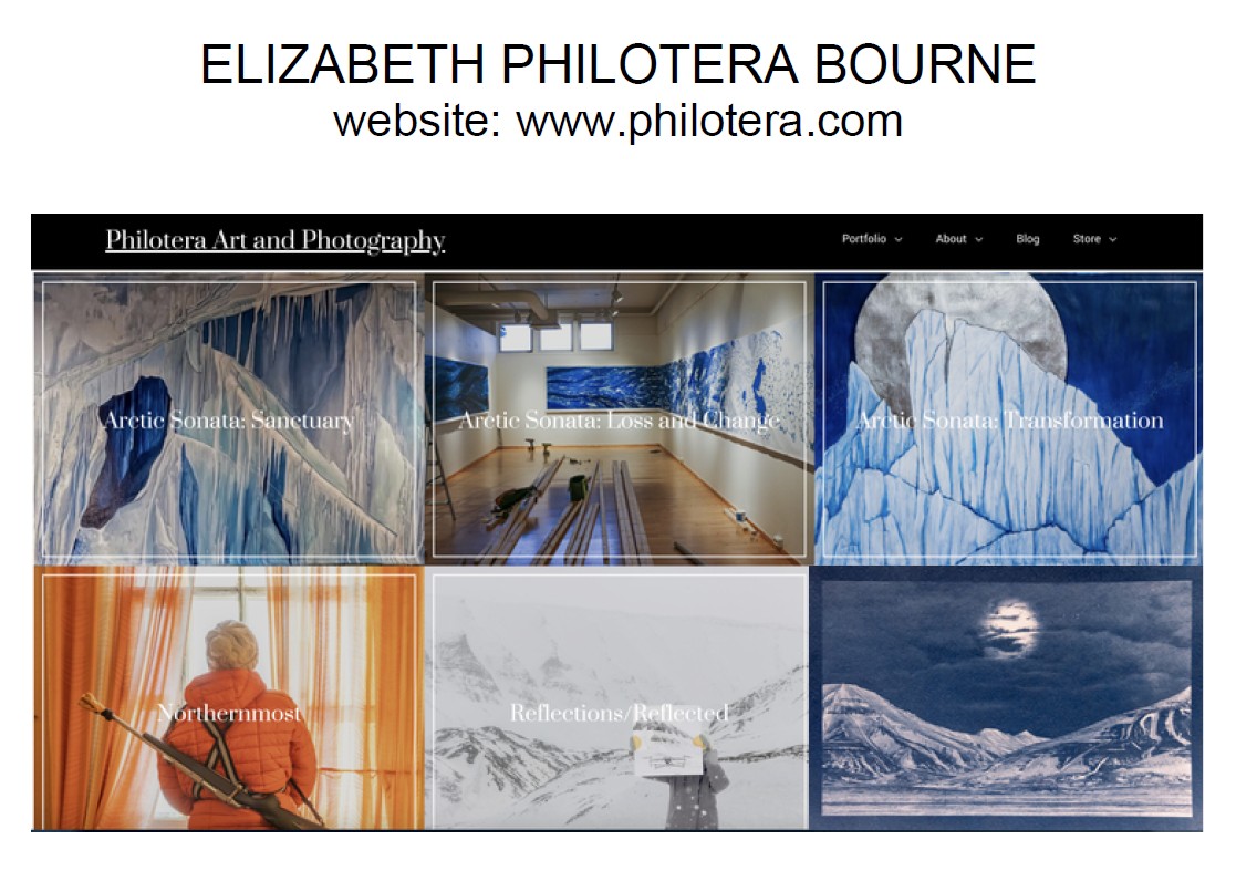 Webinars – Thematic Network on Critical Arctic Studies